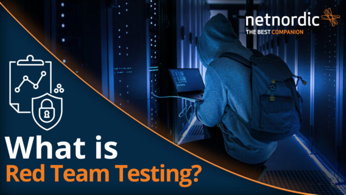 What is Red Team Testing? - NetNordic Group